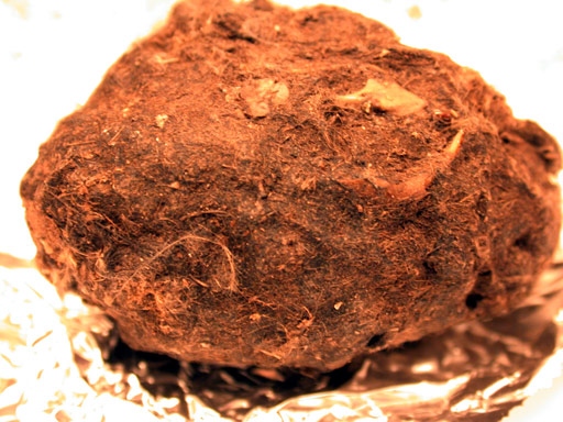 Adventures in Science! Part One: Owl Vomit • Mellzah