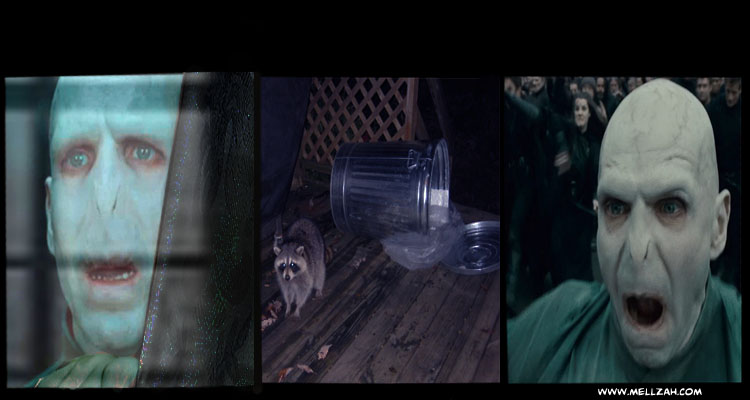 Lord Voldemort, Man of 1,000 Screams • Mellzah