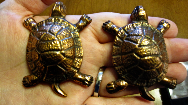 "If I don't save the wee turtles, who will? BAH! Save me from the wee ...