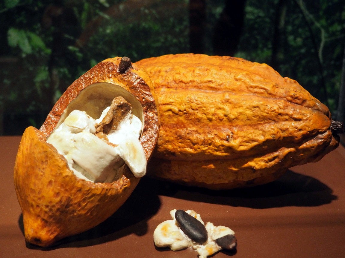 Chocolate the Exhibition at MOHAI • Mellzah