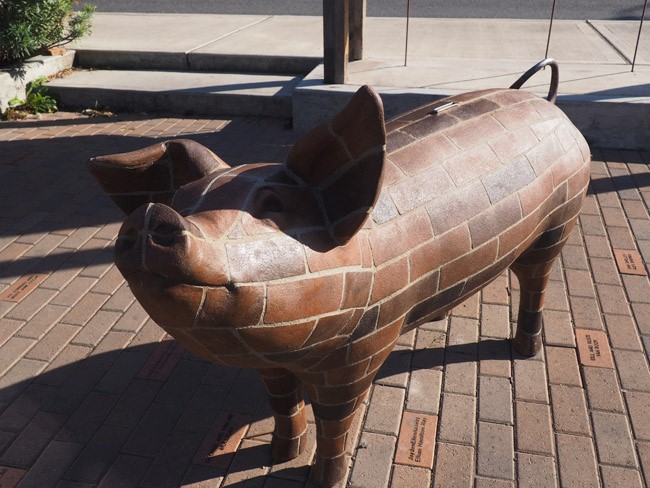 Scootin' San Juan Island • Mellzah