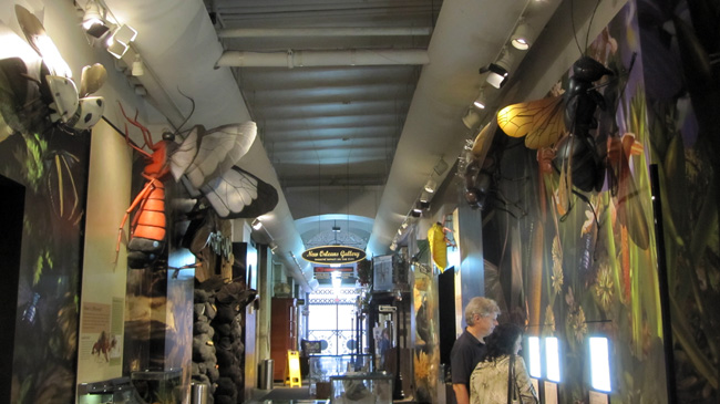 Bugging out at the Audobon Insectarium In New Orleans • Mellzah