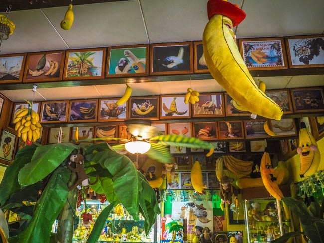The International Banana Museum in Mecca, CA • Mellzah