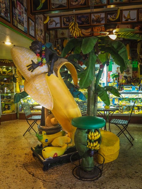The International Banana Museum in Mecca, CA • Mellzah