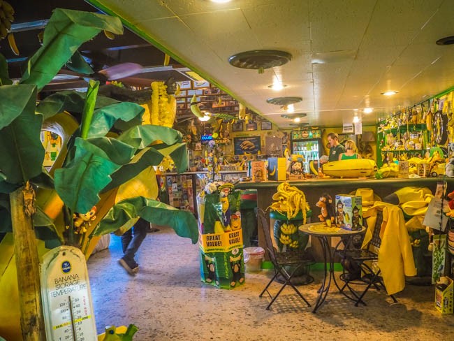 The International Banana Museum in Mecca, CA • Mellzah
